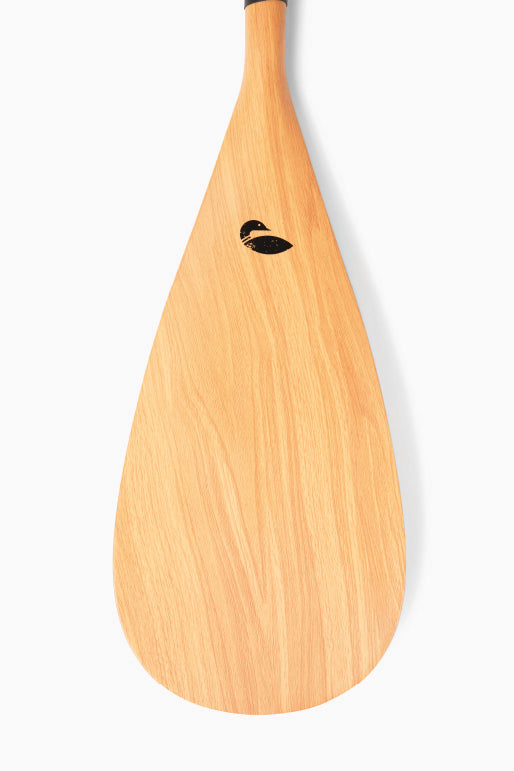 Alpena SUP Paddle – Paddle North
