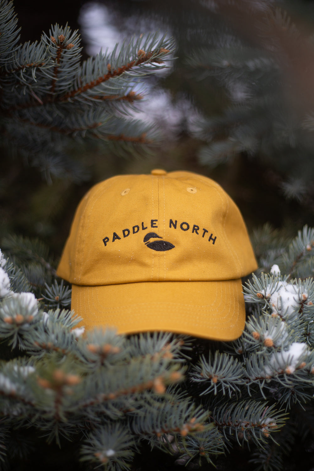 Cabin Hat | 5 Colors, 100% Cotton Loon Hat - Paddle North
