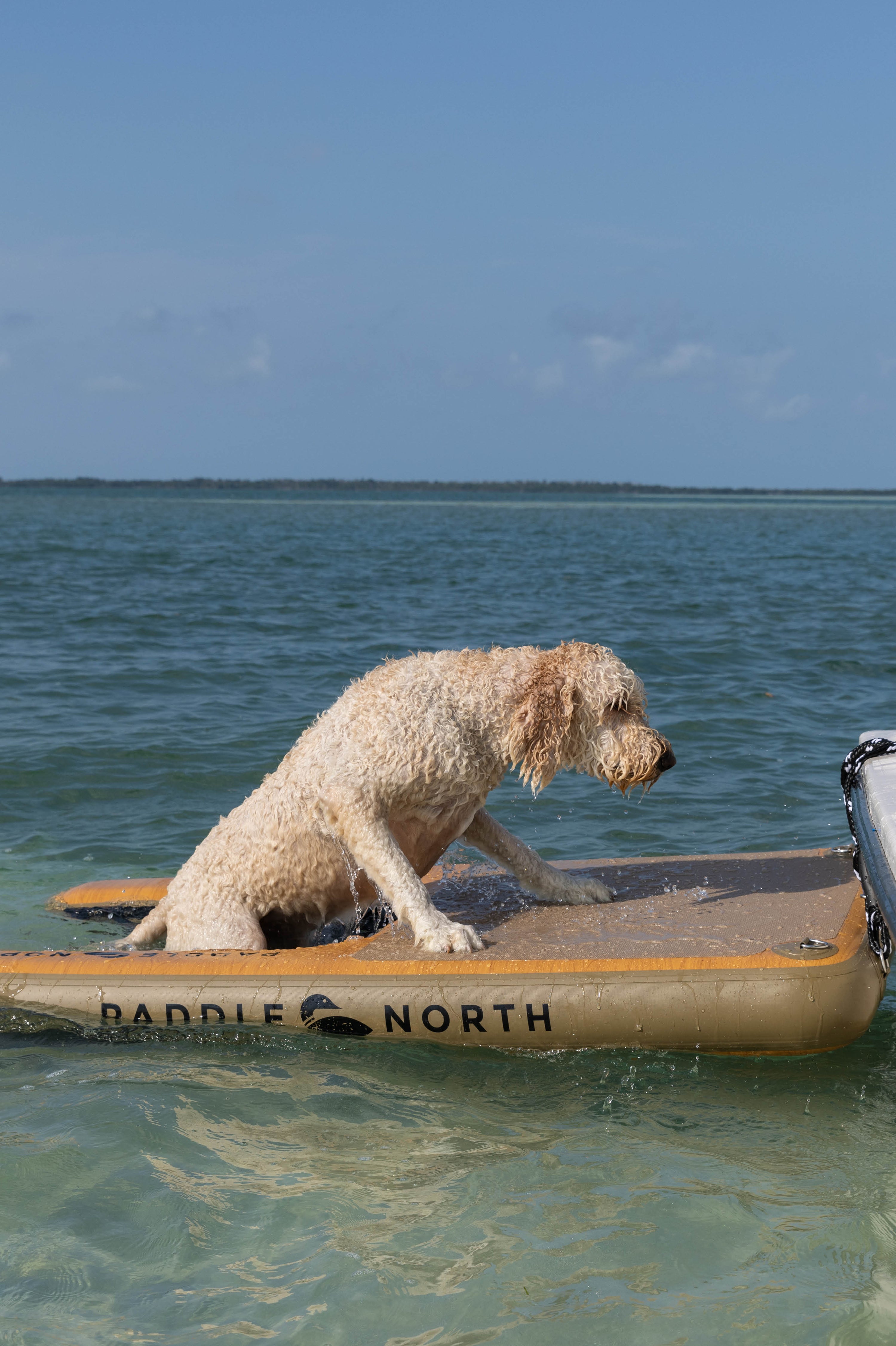 Up Dog | Inflatable Dog Ramp for Boats, Docks, and More